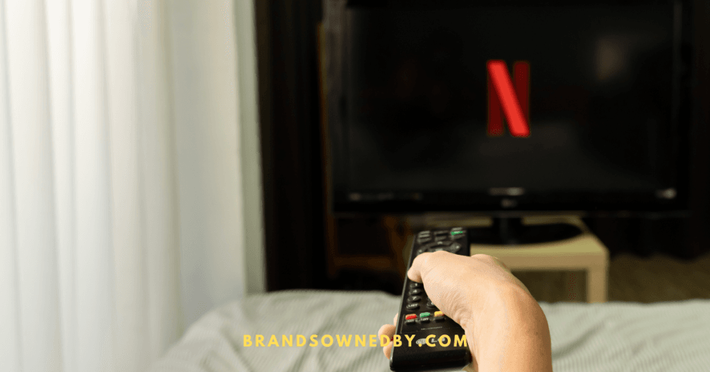 What Companies Does Netflix Own? – Brands Owned By