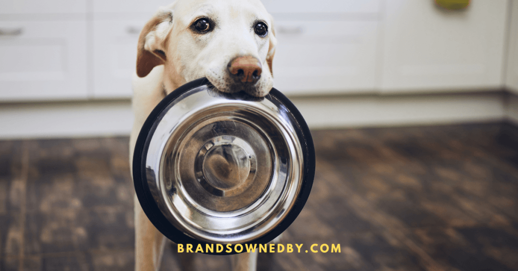 Who Owns Mars: Top Shareholders – Brands Owned By