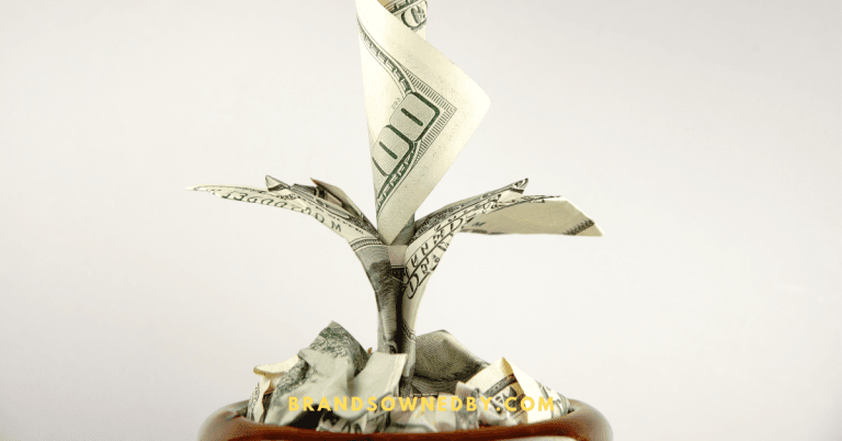 What Companies Are Owned by Vanguard Group? – Brands Owned By