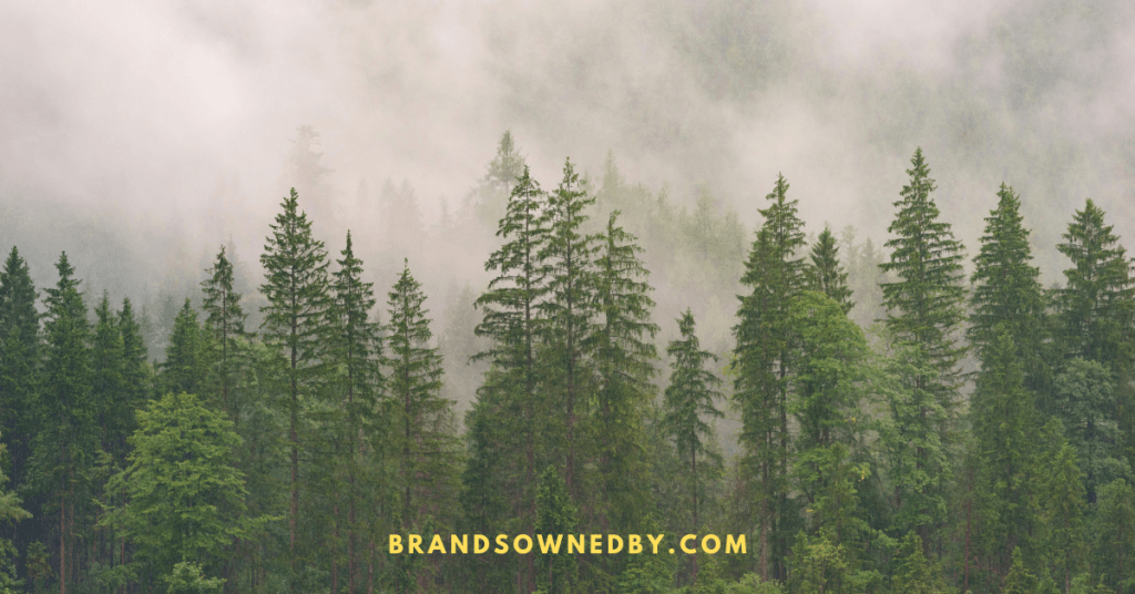 Who Owns Asplundh: Shareholder Details of Asplundh – Brands Owned By