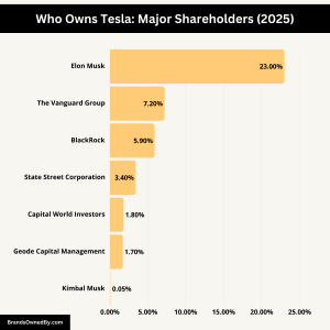 Who Owns Tesla: Shareholder and Ownership Insights – Brands Owned By