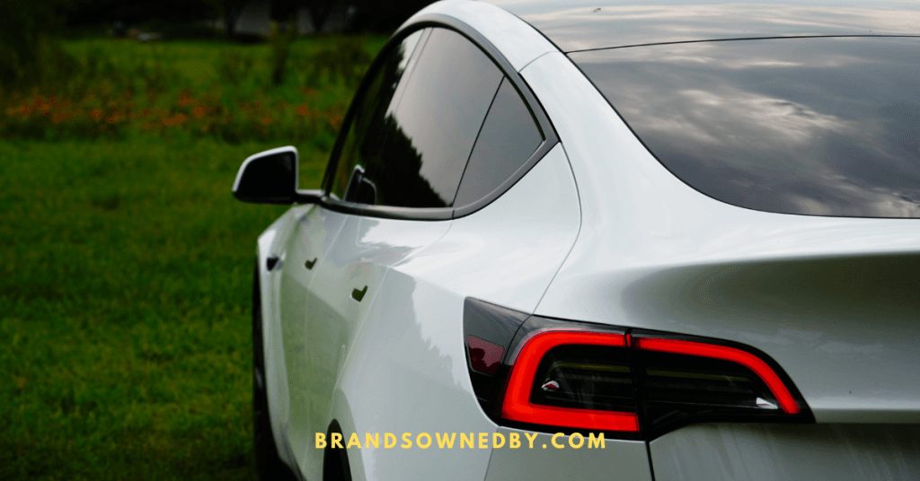 Who Owns Tesla: Shareholder and Ownership Insights – Brands Owned By