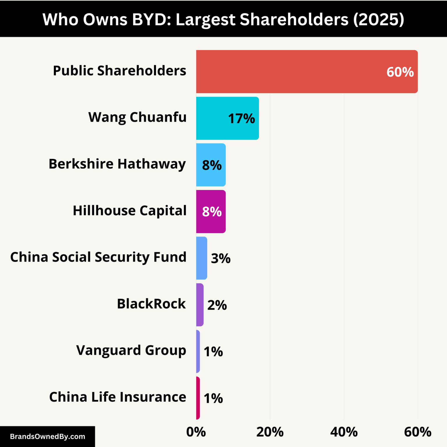 Who Owns BYD: Largest Shareholders – Brands Owned By
