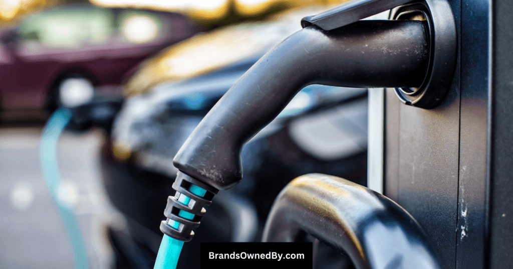 Who Owns BYD: Largest Shareholders – Brands Owned By