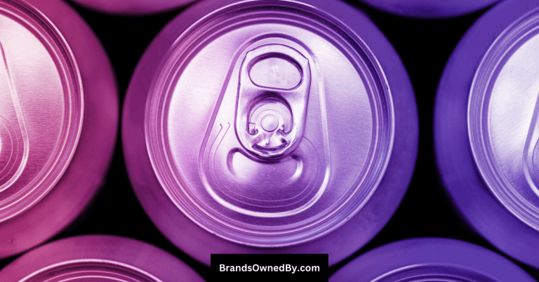 Who Owns Prime Drink: Top Shareholders – Brands Owned By