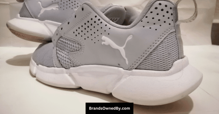 Who Owns Puma: Top Shareholders – Brands Owned By