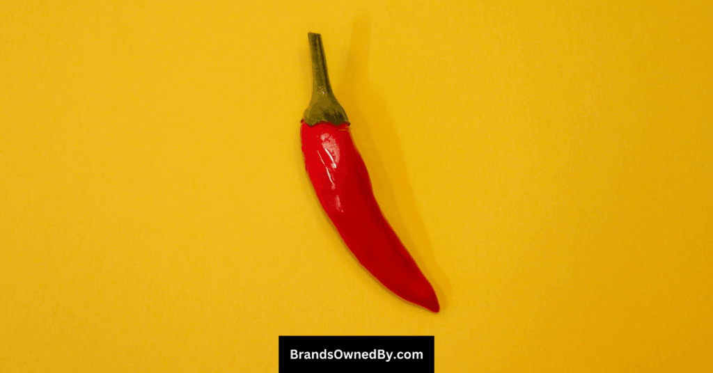 Who Owns Chili's? Full Ownership Breakdown – Brands Owned By